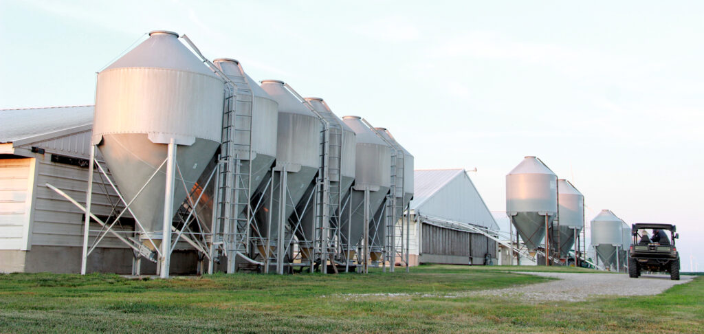 Our Story - Prestage Foods